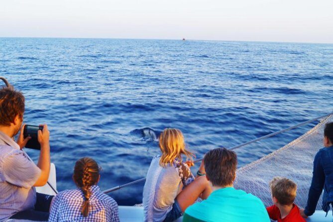 Sunrise Boat Trip in Mallorca with Dolphin-Watching - What to Expect from this Mallorca Sunrise Dolphin Trip