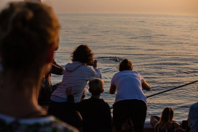 Sunrise Boat Trip in Mallorca with Dolphin-Watching - Who Will Love This Trip?