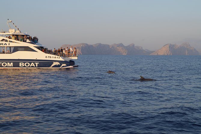 Sunrise Boat Trip in Mallorca with Dolphin-Watching - The Sum Up