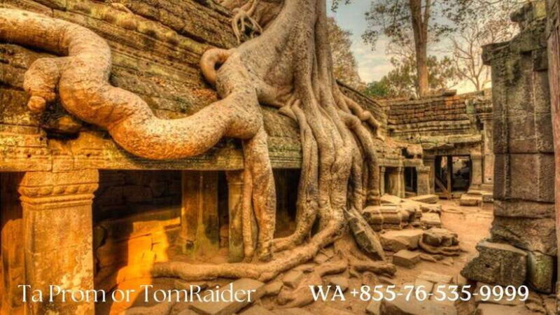 Sunrise Cycling Of Angkor Wat Temple - The Sum Up