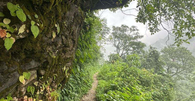 Sunrise Day Hike in Rishikesh - Who Should Consider This Tour?