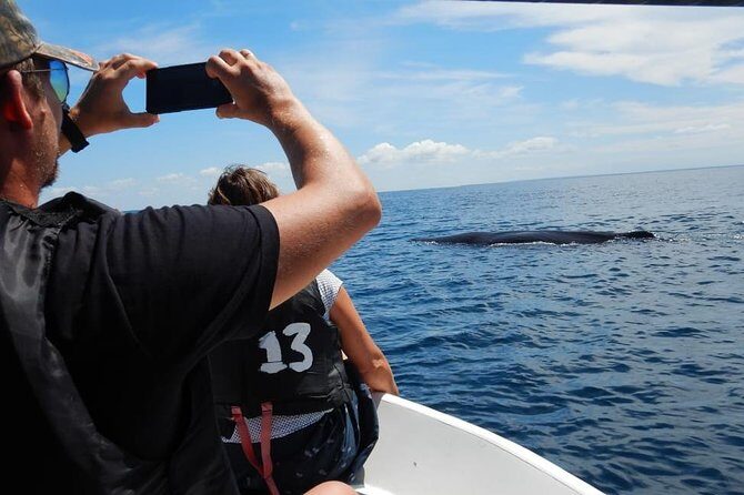 Sunrise dolphin watching experience and Bar Reef snorkelling  Kalpitiya - The Practical Aspects: What You Need to Know