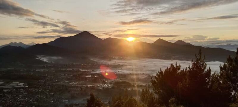 Sunrise Gunung Putri,Tea Factory&Tea plantation,Hot Spring - Who Will Love This Tour?