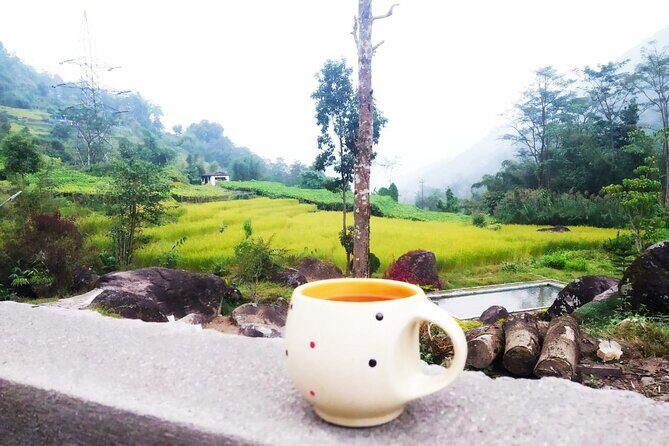 Sunrise in Darjeeling - Key Points