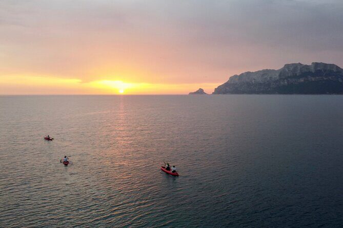 Sunrise Kayak Tour with Snorkeling and Coffee Experience - Final Thoughts: Who Will Love This Experience?