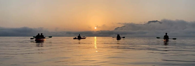 Sunrise Kayak Tour with Snorkeling and Coffee Experience - The Experience in Detail