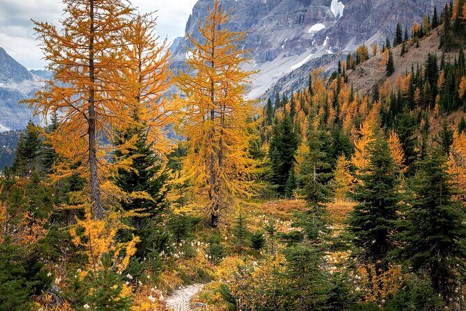 Sunrise Moraine Lake and Lake Louise Adventure - FAQ