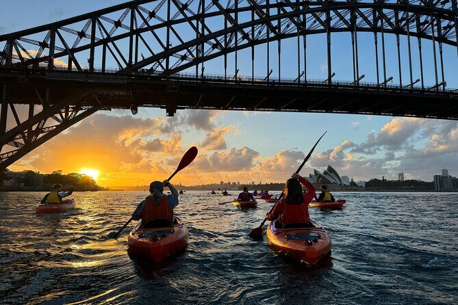 Sunrise Paddle Session on Syndey Harbour - In-Depth Look at the Experience