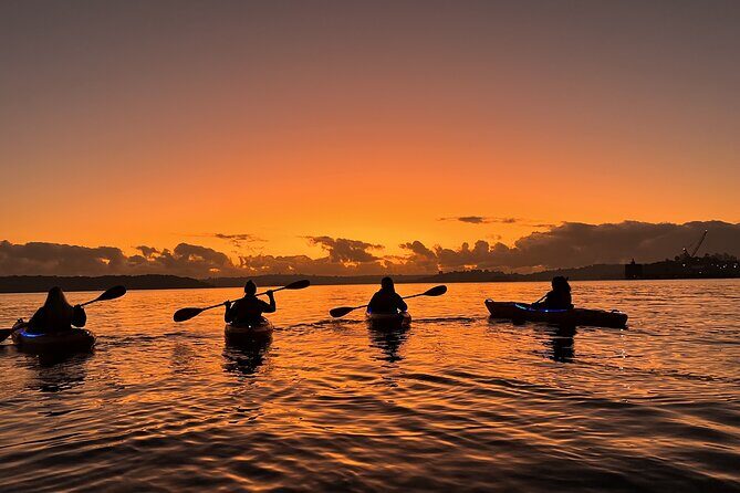 Sunrise Paddle Session on Syndey Harbour - Who Will Love This Experience?