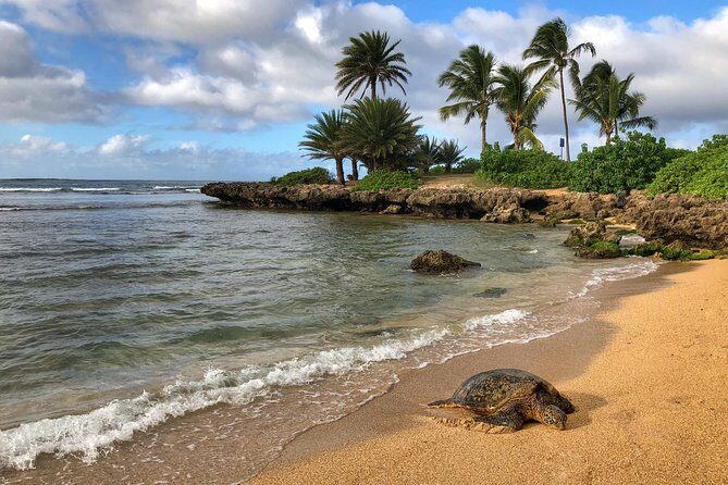 Sunrise Plus Island Tour - Who Should Consider This Tour?