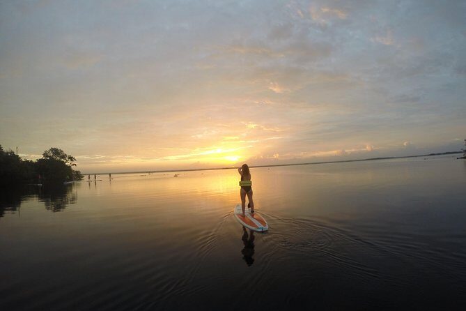 Sunrise Tour (Stand Up Paddle or Kayak) - A Detailed Look at the Sunrise Paddle Tour