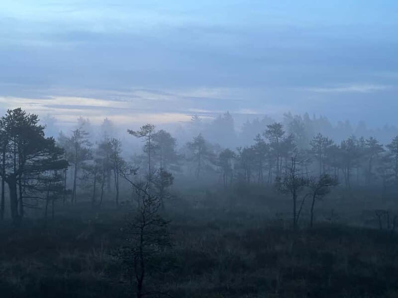 Sunrise Tour To Great Kemeri Bog - Key Points