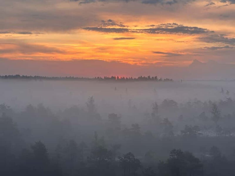 Sunrise Tour To Great Kemeri Bog - Final Thoughts: Who Is This Tour Perfect For?