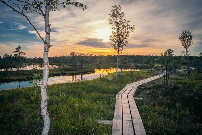 Sunrise Tour To Great Kemeri Bog - Discovering the Magic of the Kemeri Bog at Sunrise