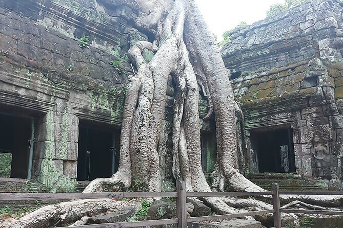Sunrise VIP Angkor Tour with Jeep M151 A2 - The Sum Up