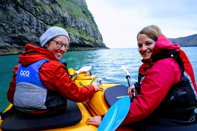 Sunrise wildlife sea kayaking in Akaroa marine reserve - The Itinerary