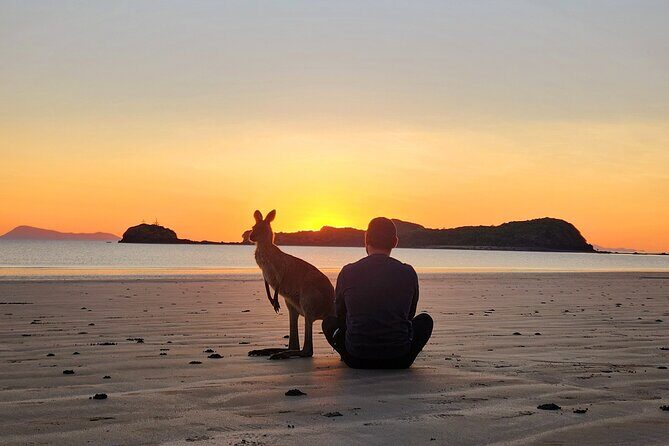 Sunrise with the kangaroos and wallabies - Who Would Enjoy This Tour?