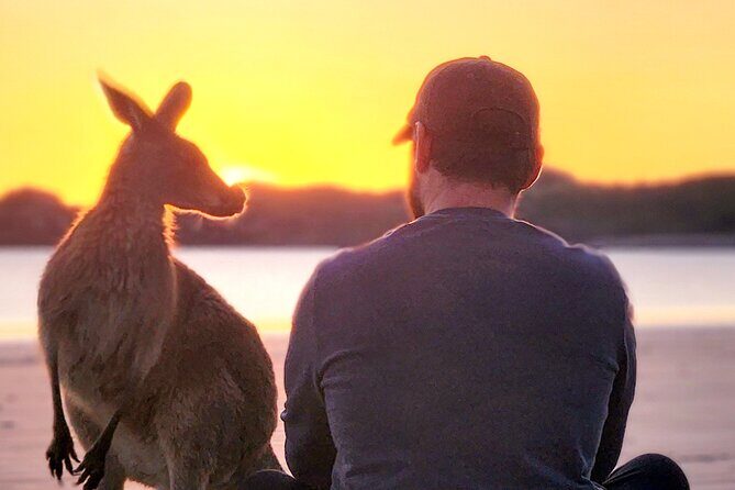 Sunrise with the kangaroos and wallabies - Stop 2: Breakfast in the Bush