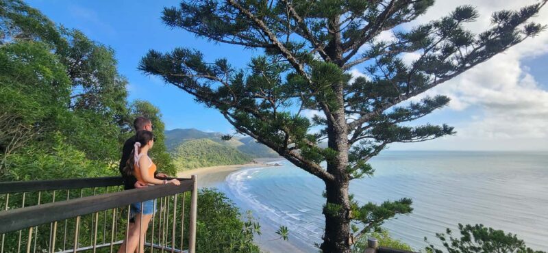Sunrise with the Kangaroos & Wallabies - Airlie Beach - An Early Start for an Unmatched Encounter with Nature