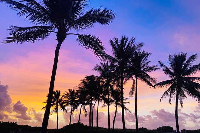 Sunrise Yoga and Meditation by the Ocean in Miami Beach - A Practical Look at the Sunrise Yoga and Meditation Tour