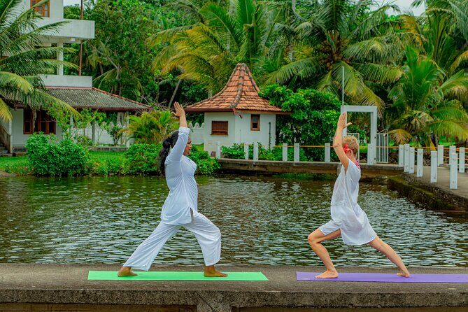 Sunrise Yoga and Pranayama - Customer Feedback: Authentic Voices