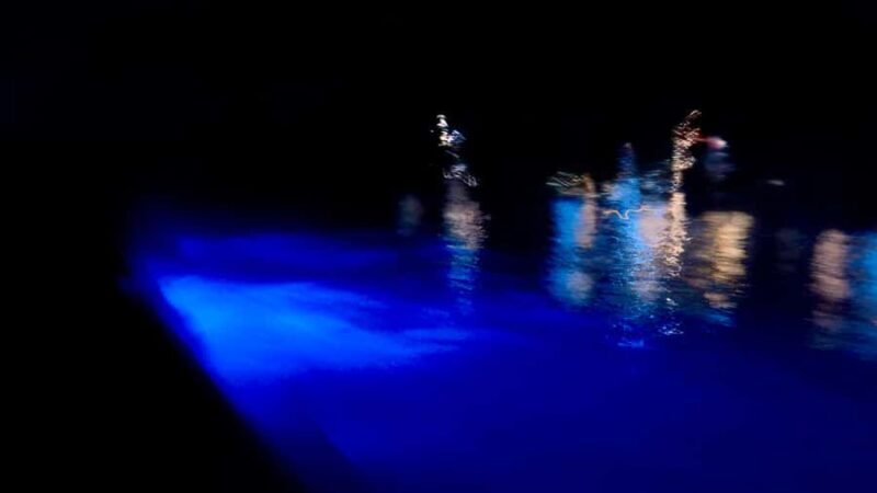 Sunset and Bioluminescence Boat Tour at Los Arcos Islands - The Experience: What to Expect from Start to Finish