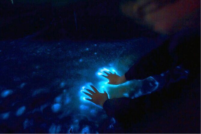 Sunset and Bioluminescence Boat Tour at Los Arcos Islands - What Makes This Tour Stand Out