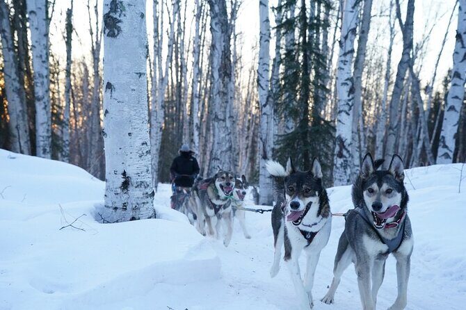 Sunset and Full Moon or Extended Ridge Top Mush - FAQs