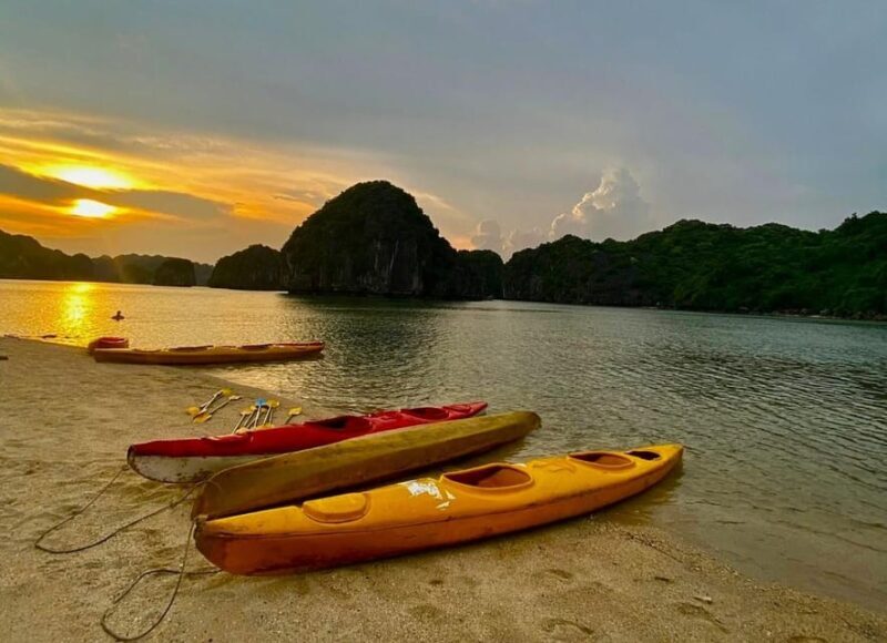 Sunset and Magical Bioluminescence plankton Night Kayak Tour - What Makes This Tour Stand Out