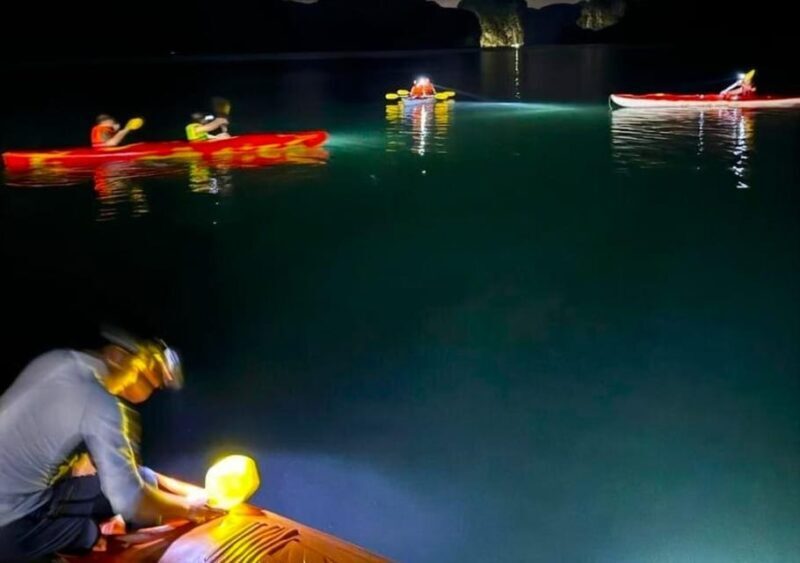 Sunset and Magical Bioluminescence plankton Night Kayak Tour - The Practicalities: What to Expect and Considerations
