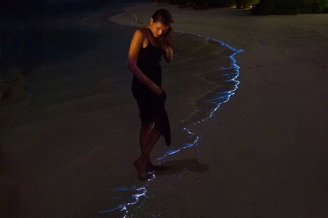 Sunset and Plankton Bioluminescent Night Kayak Lan Ha Bay - Introduction: Discover the Magic of Lan Ha Bay at Night