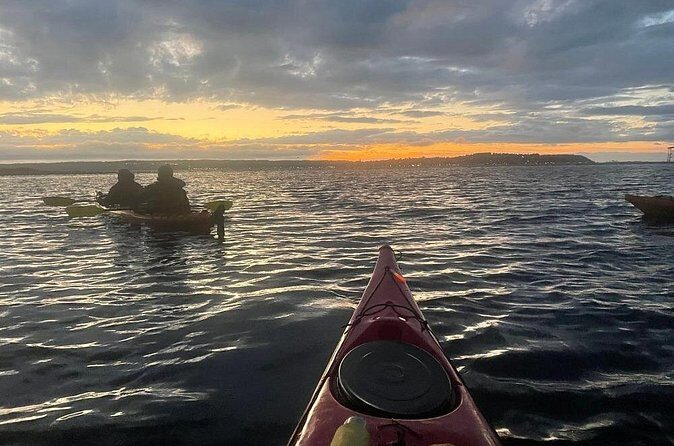 Sunset and Wildlife Kayak Tour at Fort Flagler State Park - Why This Tour Is Worth Considering