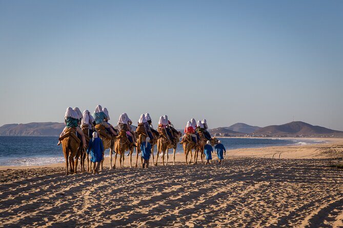 Sunset beach Camel ride with Mexican Buffet and Tequila Tasting - Authentic Review Highlights