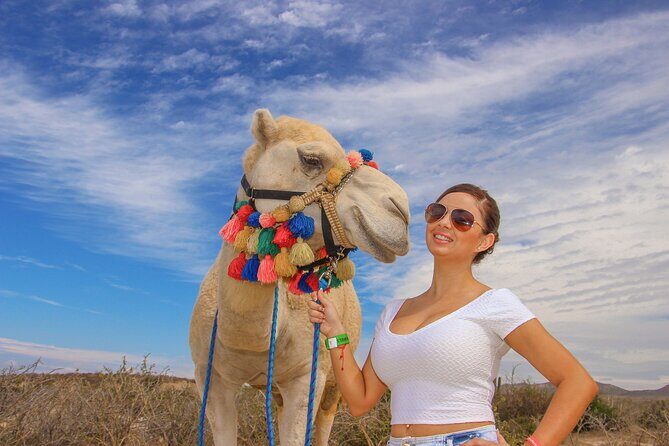 Sunset beach Camel ride with Mexican Buffet and Tequila Tasting - Who Should Consider This Tour?