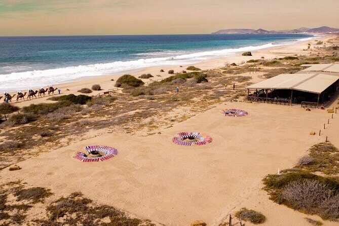 Sunset beach Camel ride with Mexican Buffet and Tequila Tasting - FAQ