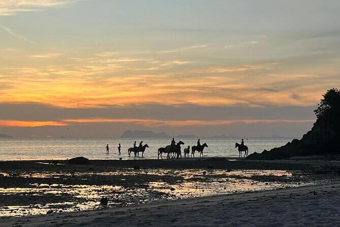 Sunset Beach Horseback Ride Phuket - Introduction: What’s This Tour About?