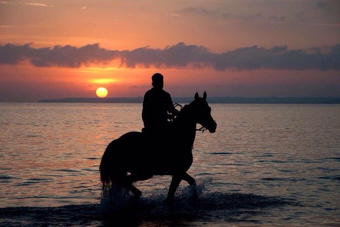 Sunset Beach Horseback Riding - Key Points