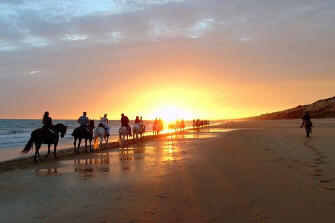 Sunset Beach Horseback Riding - FAQs