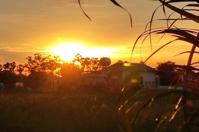 Sunset Bike Tours in Countryside and Picnic - Final Thoughts – Why It’s Worth It