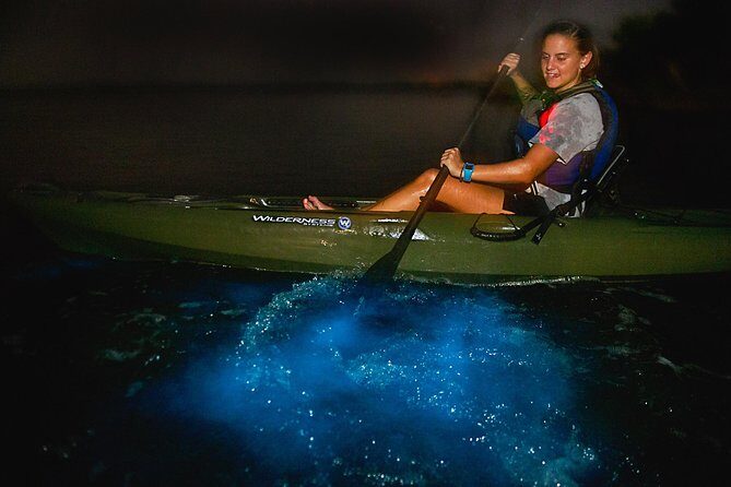 Sunset Bioluminescence Tour - Summary of Practical Information