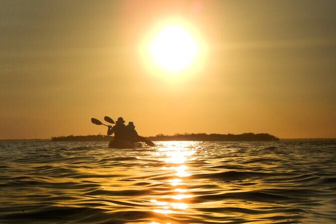 Sunset Bioluminescence Tour - FAQ
