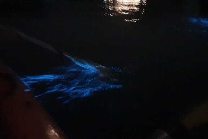 Sunset & Bioluminescent Plankton Kayaking Lan Ha bay - How the Tour Begins: Easy Pickup & Scenic Journey