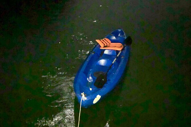 Sunset & Bioluminescent Plankton Kayaking Lan Ha bay - The Kayaking & Bioluminescence Experience: The Heart of the Tour
