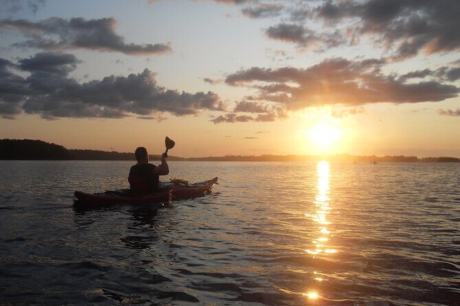 Sunset Boat Cruise in Vancouver - What the Sunset Cruise Offers in Detail