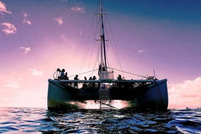 Sunset Boat Cruise: Swim and Cruise Waikiki - Final Word