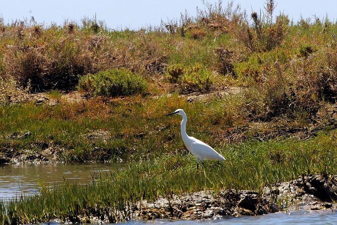 Sunset Boat Trip of Ria Formosa: an Eco-friendly Tour out from Faro - FAQ