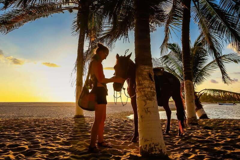 Sunset by Horse on the Beach - Practical Details: What You Need to Know