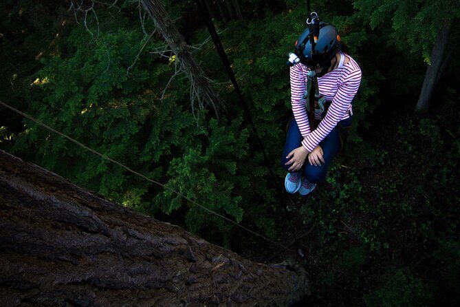 Sunset Canopy Climb on Lopez Island - What Is the Sunset Canopy Climb?