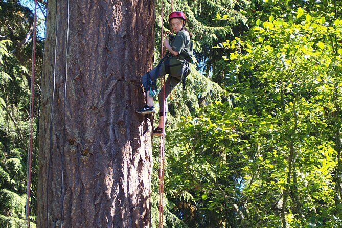 Sunset Canopy Climb on Lopez Island - The Scenic Rewards