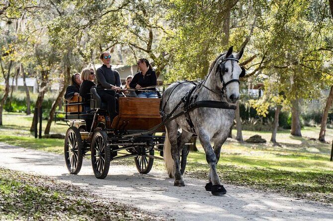 Sunset Carriage Ride and Dinner - Key Points